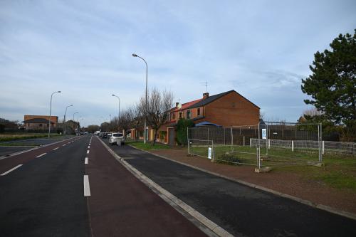 Recyclez vos sapins de Noël ! | Ville de Loos